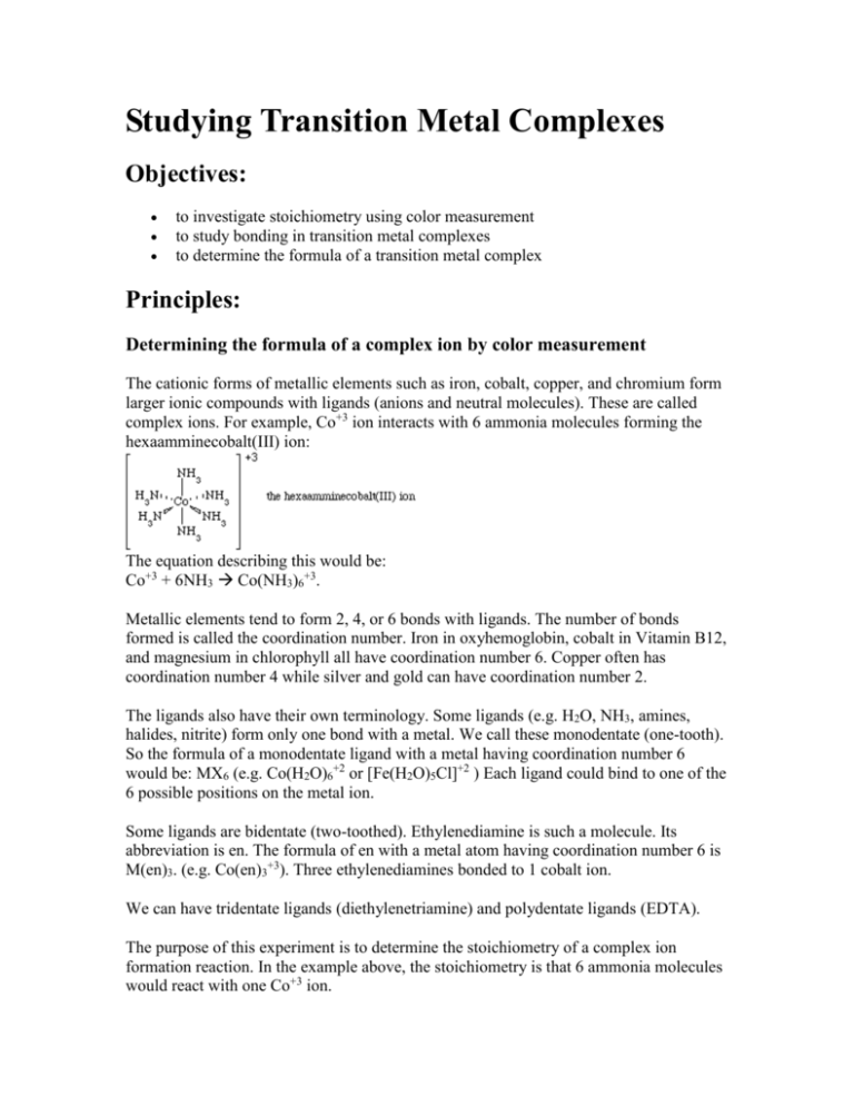 Studying Transition Metal Complexes