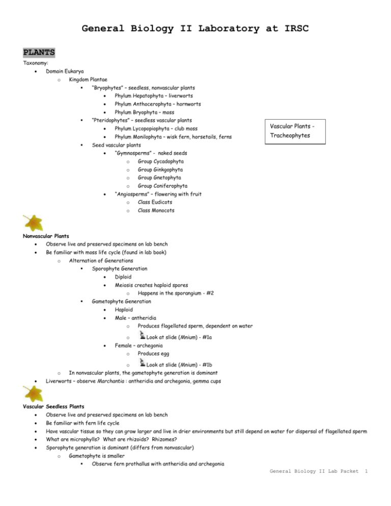 General Biology II Laboratory at IRSC PLANTS