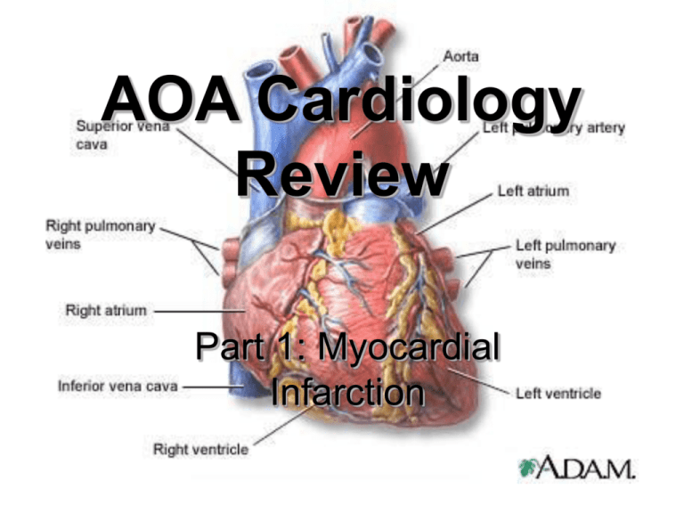 AOA Cardiology Review