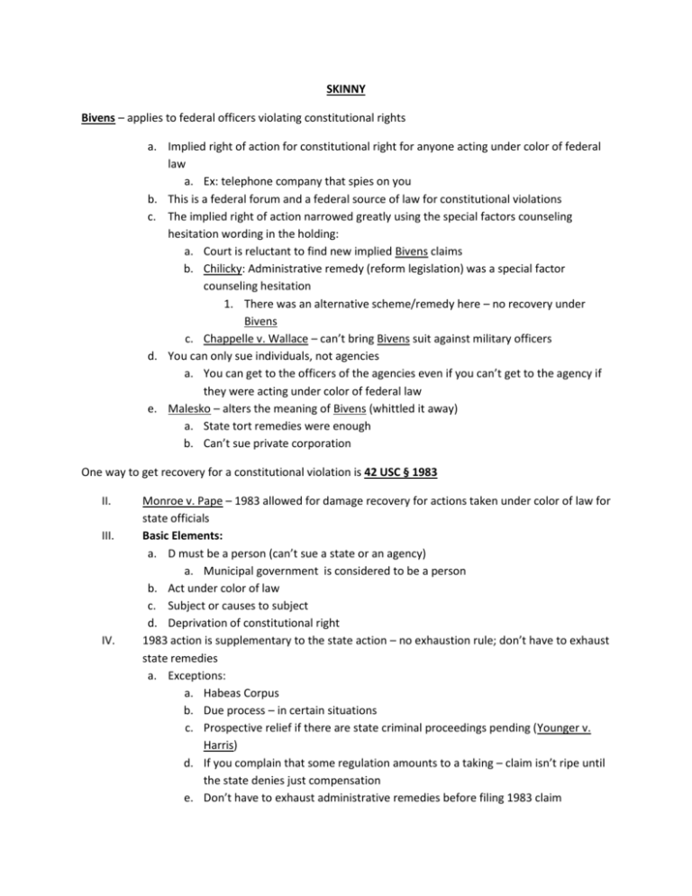 Constitutional Litigation Checklist and Skinny