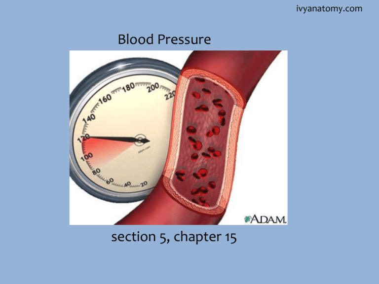 Blood Pressure
