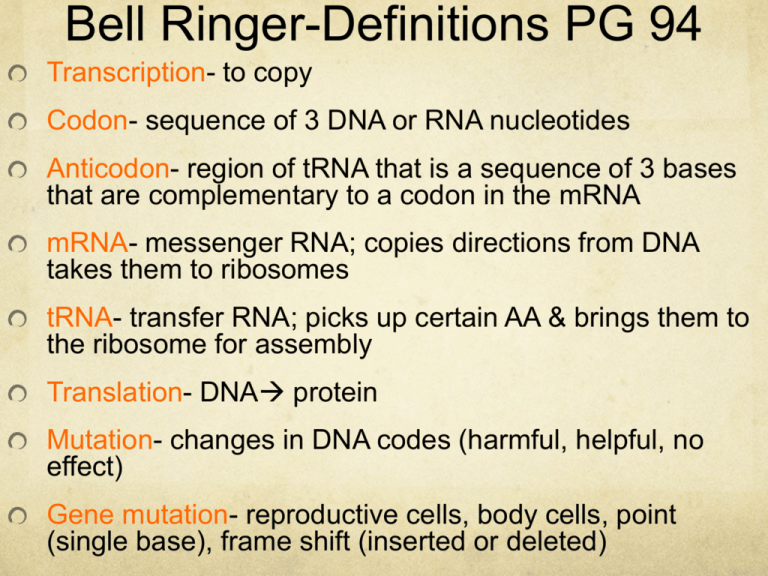 Protein Synthesis