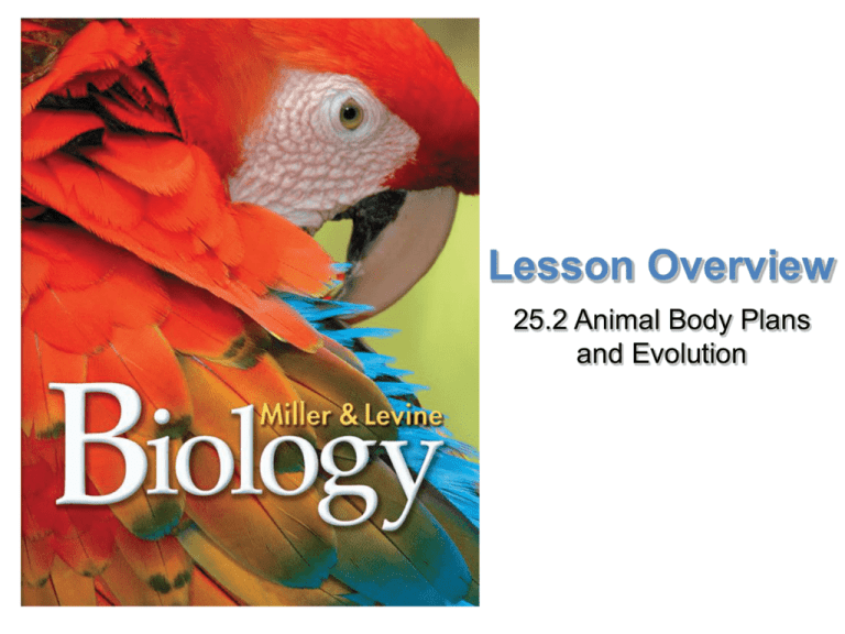 Chapter 25 Section 2 Notes