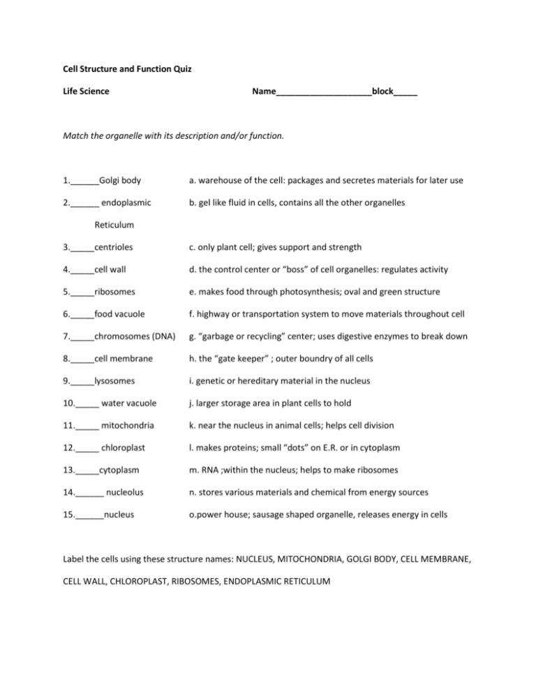 cell-structure-and-function-quiz
