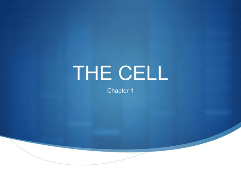 THE CELL THE CELL