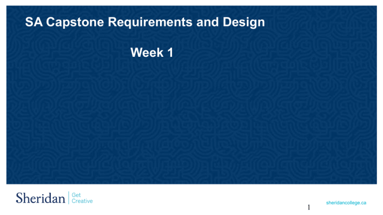 SA Capstone Requirements & Design: Week 1