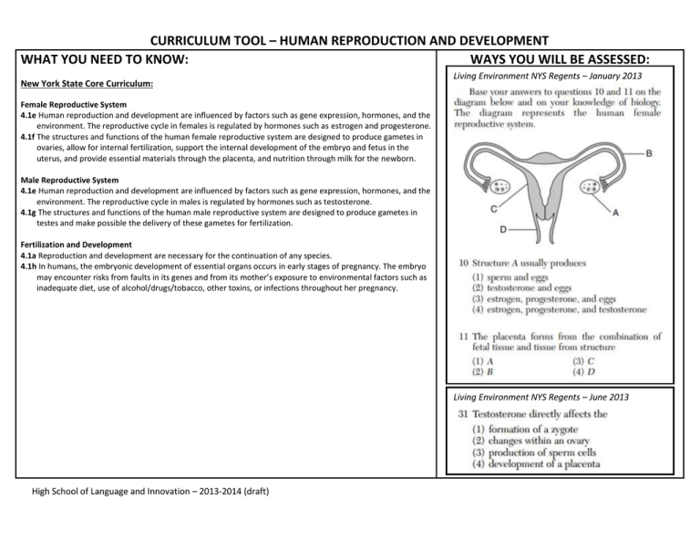 human reproduction and development what you need to know
