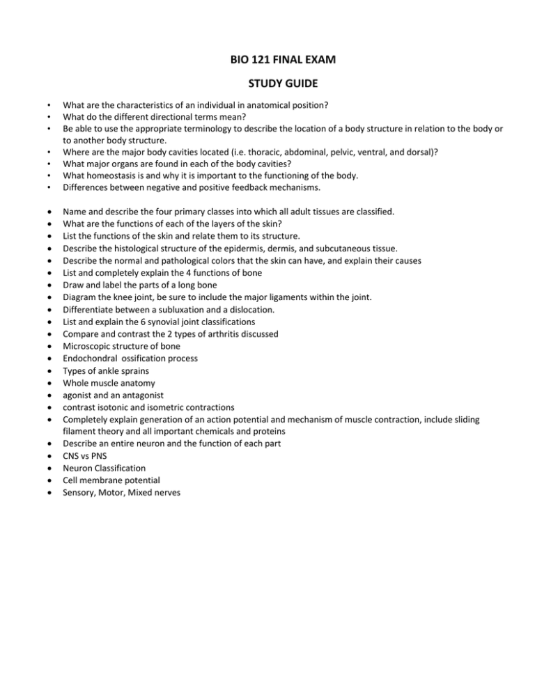 Bio 121 Final Exam Study Guide Anatomy Physiology