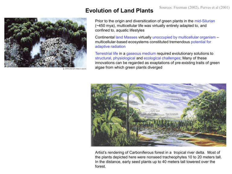 Evolution of Land Plants
