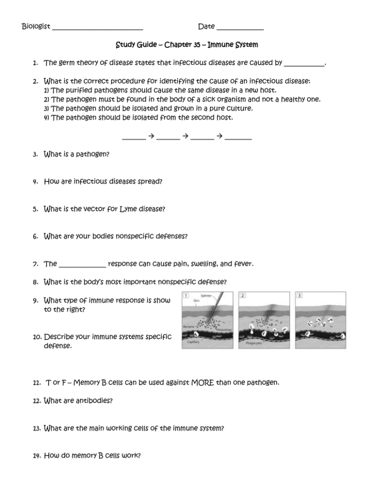 Immune System Study Guide - Chapter 35