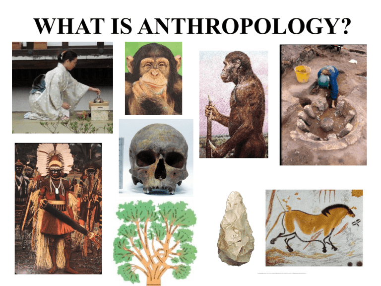 Introduction to Anthropology: Concepts & Perspectives