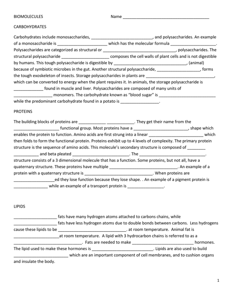Biomolecules Worksheet: Carbohydrates, Proteins, Lipids