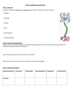 AP Psychology Brain Scenarios Worksheet