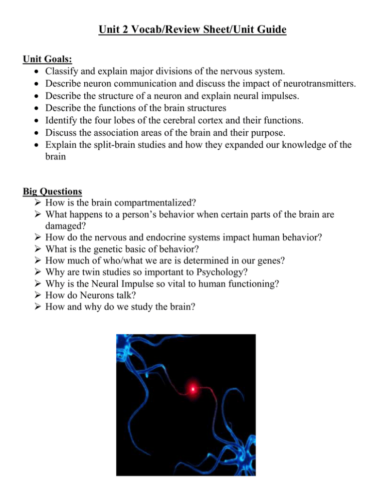 Nervous System & Brain Review Sheet: Psychology Unit 2