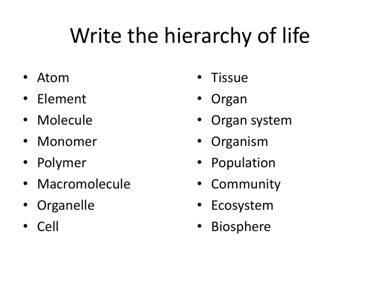 Hierarchy of Life & Taxonomy: Biology Presentation
