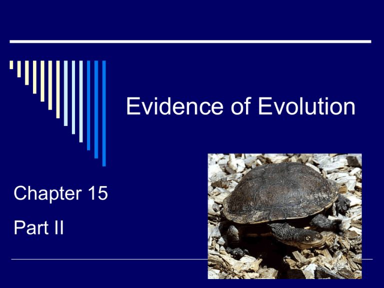 Evidence of Evolution: Fossil Record, Anatomy, and Molecular Biology