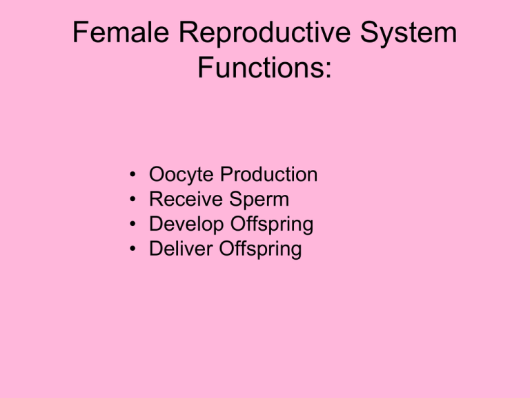 Reproductive Systems