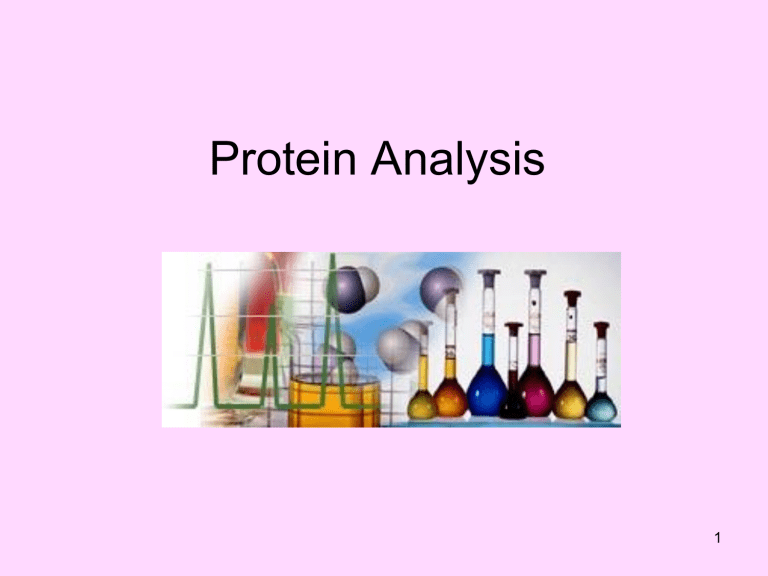 Protein Analysis
