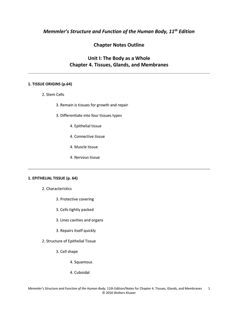 Chapter Notes Outline