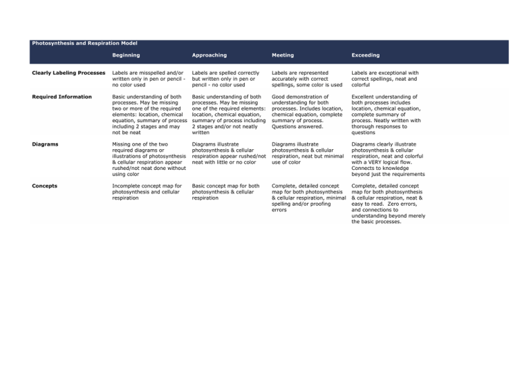 Photosynthesis & Respiration Model Rubric