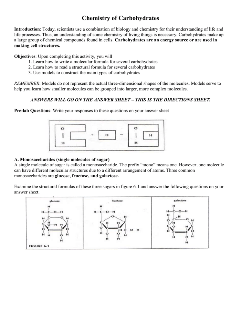 Carbohydrate Chemistry Lab: Molecular Formulas & Models