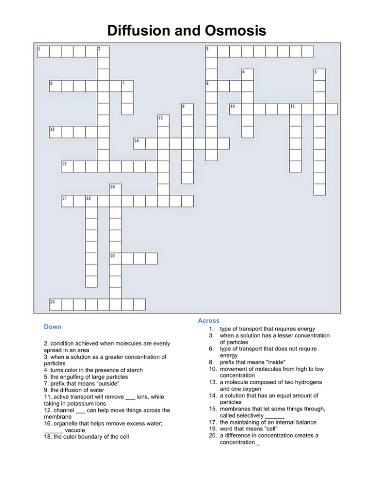 Diffusion and Osmosis Crossword Puzzle