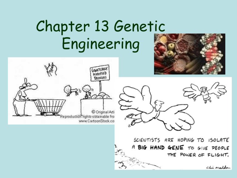 Genetic Engineering: DNA Manipulation & Biotechnology
