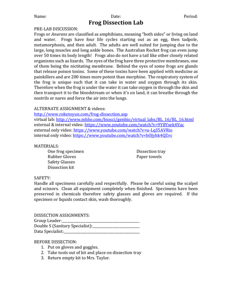Frog Dissection Lab Manual: Anatomy & Procedure