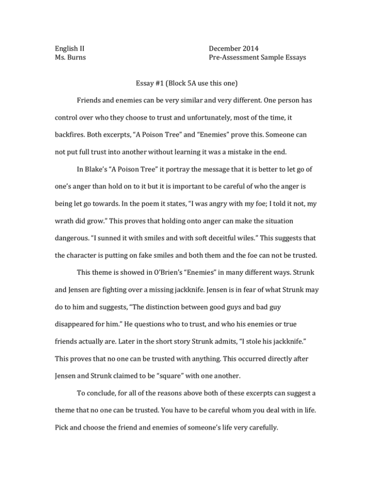 Sample Pre-Assessment Essay