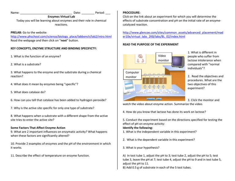 Enzymes Virtual Lab Worksheet: pH & Substrate Effects