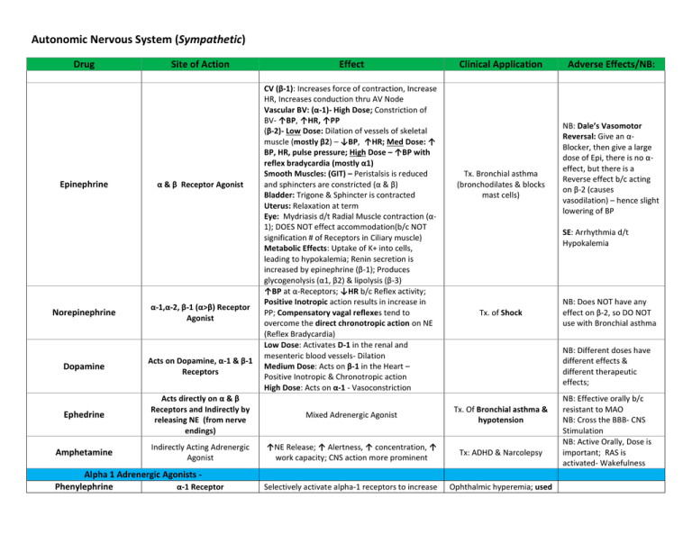 Autonomic Nervous System Drugs: Study Guide