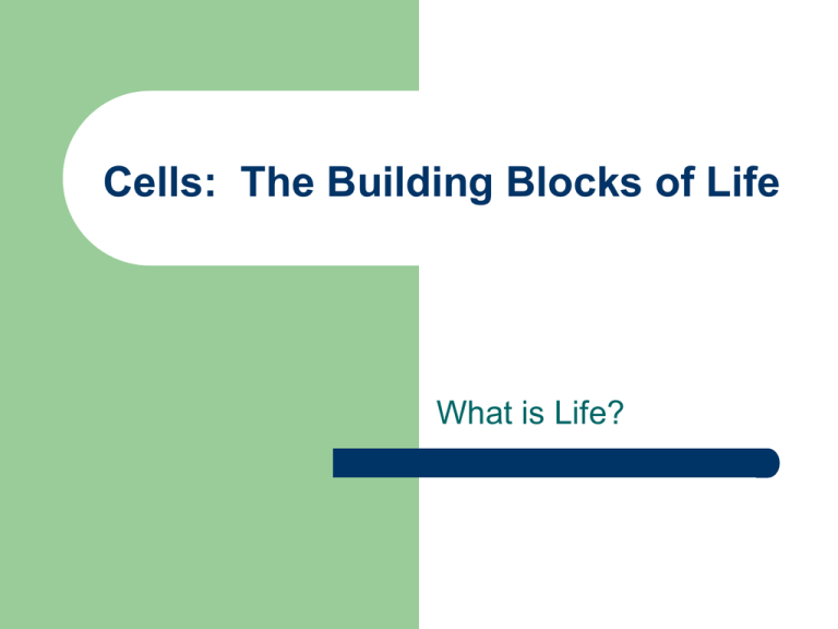 Cells: Building Blocks of Life - Presentation