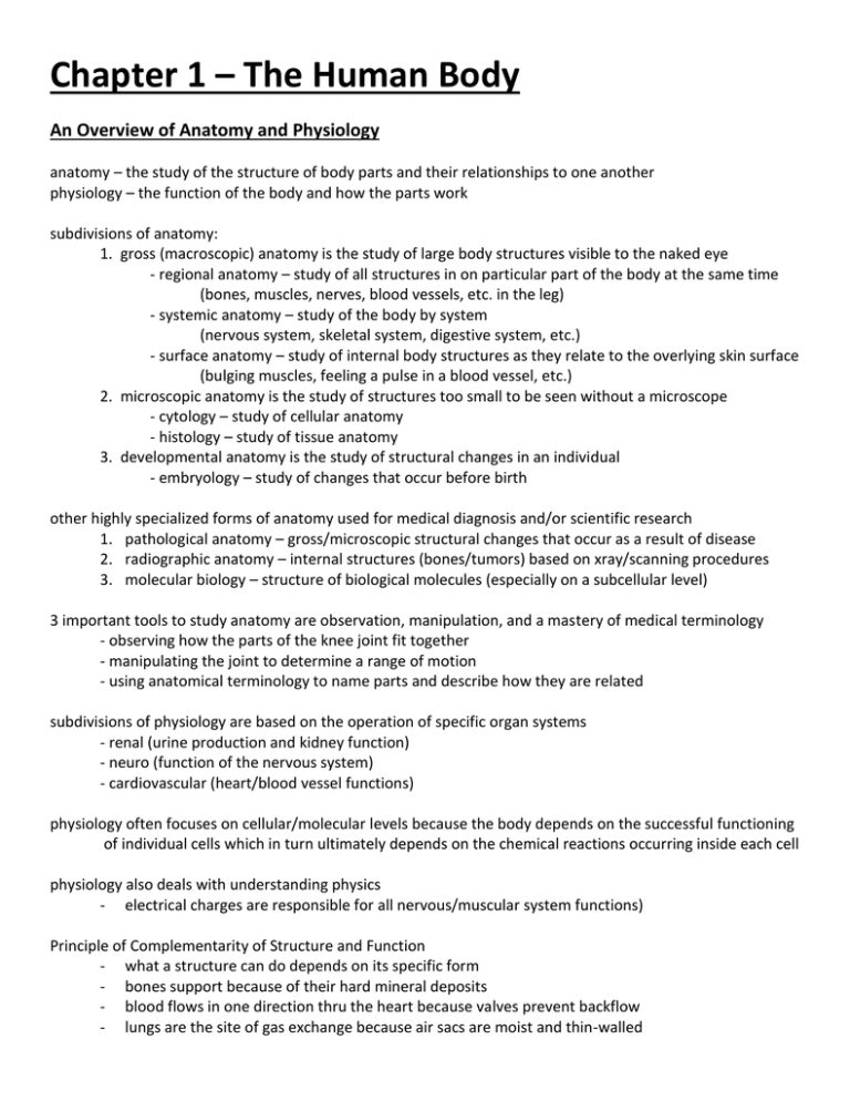 Anatomy & Physiology Overview: Human Body Basics