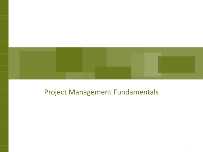 Project Management Fundamentals: Concepts & Processes