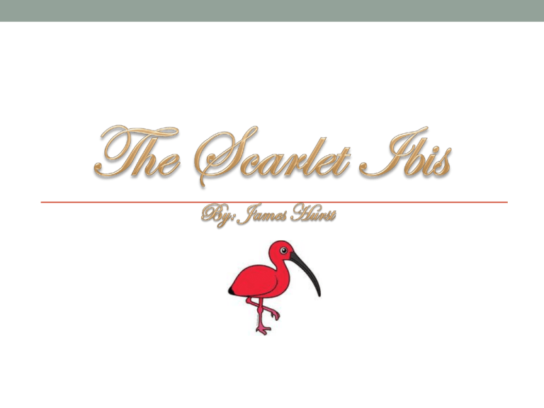"The Scarlet Ibis" Study Guide: Analysis & Summary