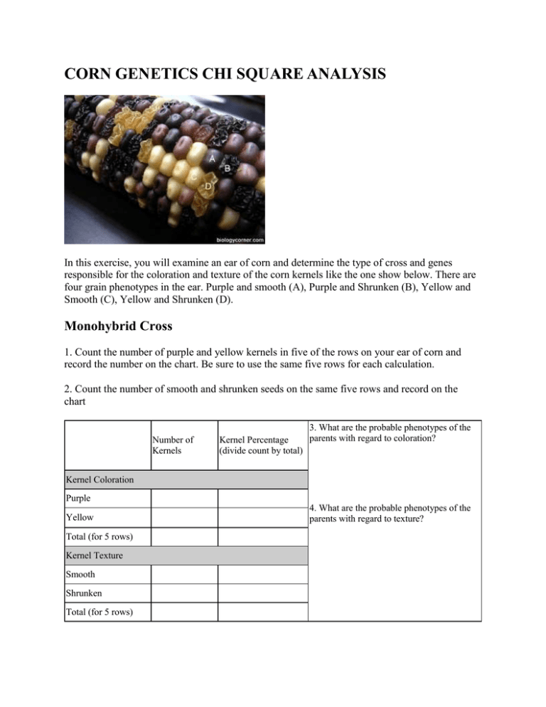 Corn Chi-square w.answers to practice problems