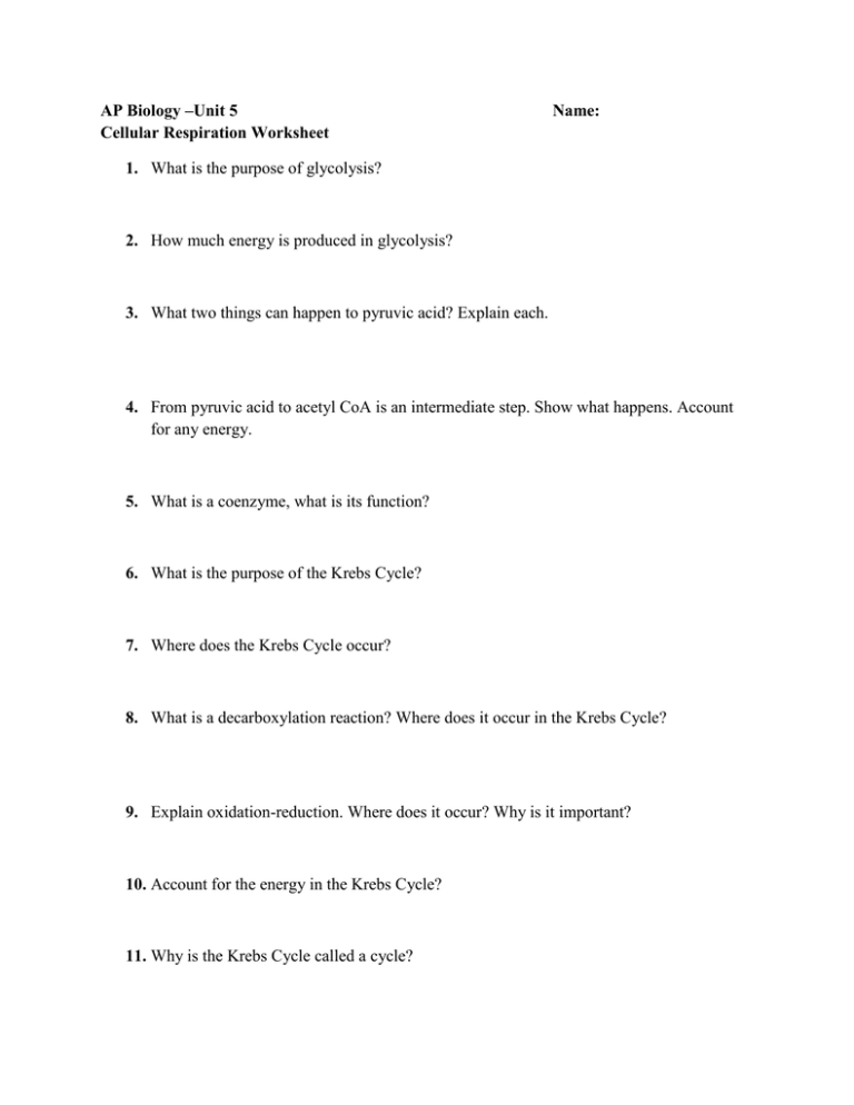 AP Biology Cellular Respiration Worksheet