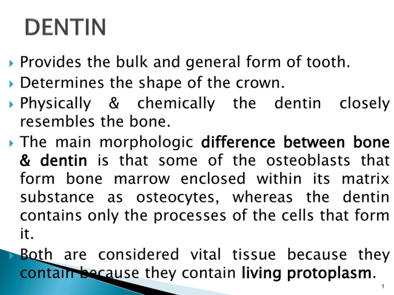 Dentin Structure, Composition & Properties: Dental Presentation