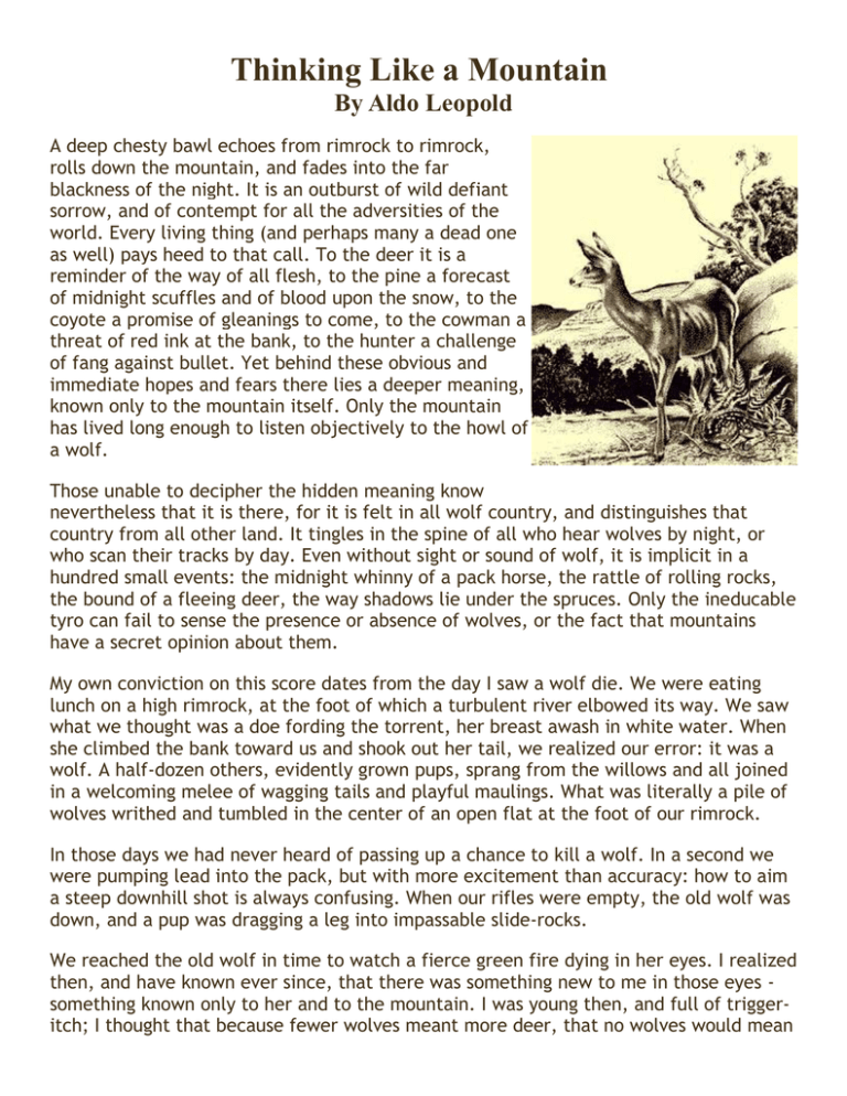 Thinking Like a Mountain: Aldo Leopold Essay