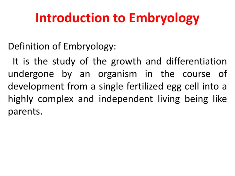 Embryology: Introduction, Development, and Chromosomes