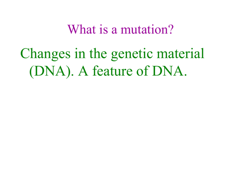 Chapter 13 Notes