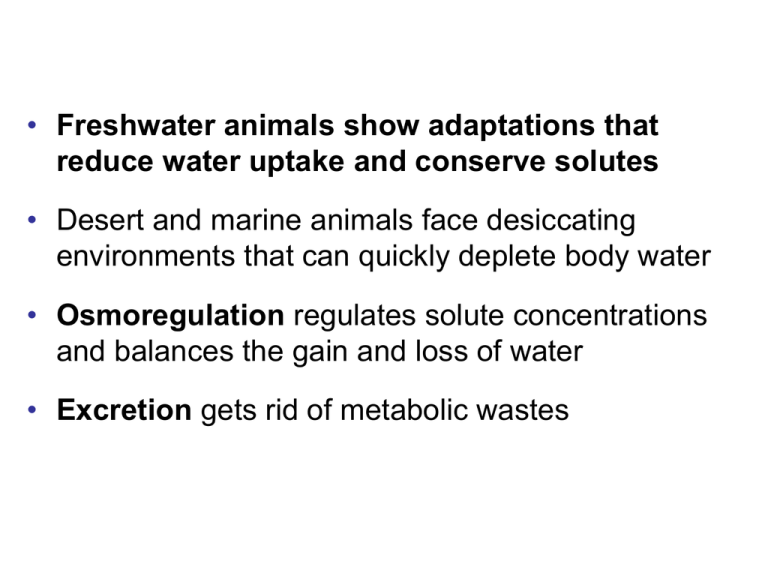 Osmoregulation and Excretion in Animals