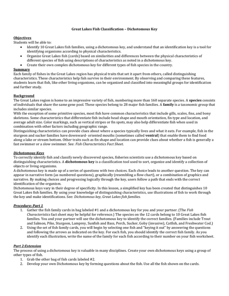 Great Lakes Fish Dichotomous Key Worksheet