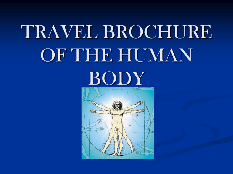 Human Body Systems: A Travel Brochure for Biology Students