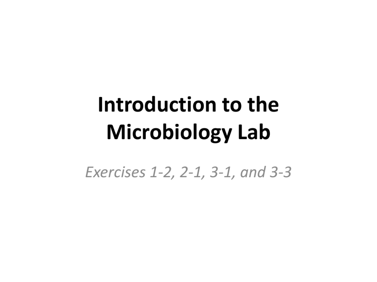 Microbiology Lab Introduction: Safety & Exercises