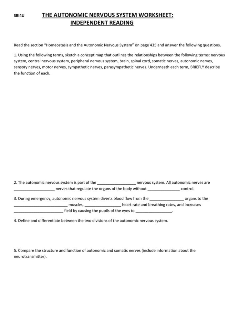 the autonomic nervous system worksheet: independent reading