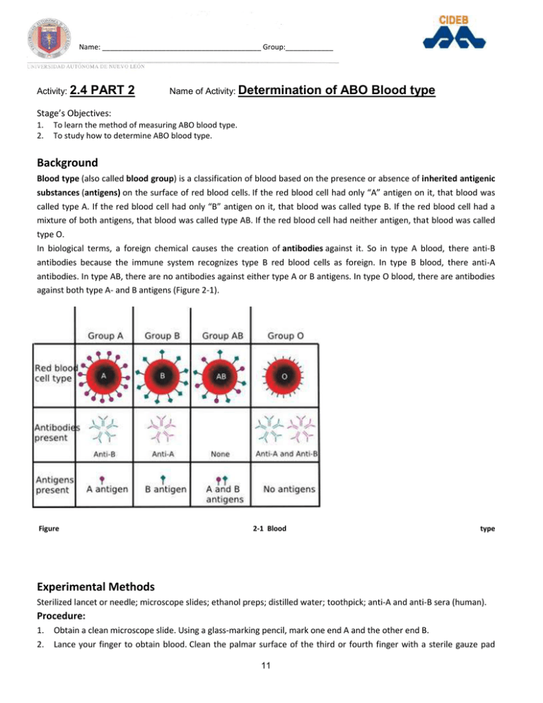 ABO Blood Type Determination Lab Activity