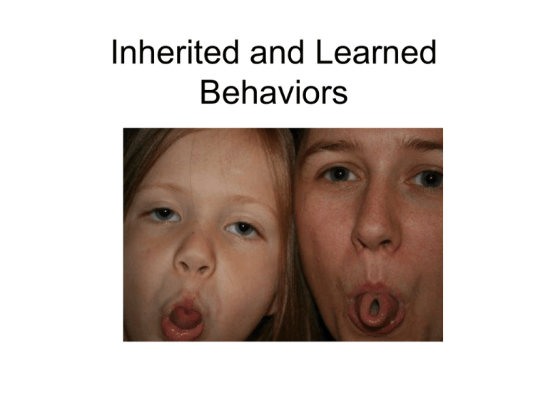 Inherited and Learned Behaviors: Animal & Plant Traits