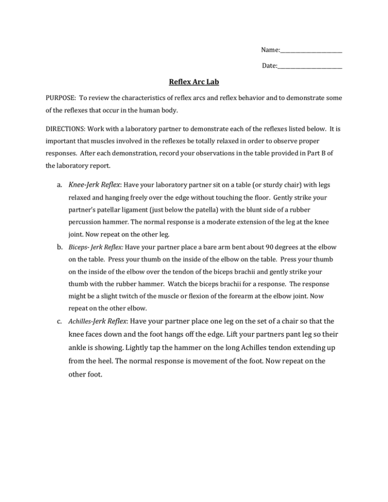 Reflex Arc Lab Report: Knee-Jerk, Biceps, Achilles Reflexes