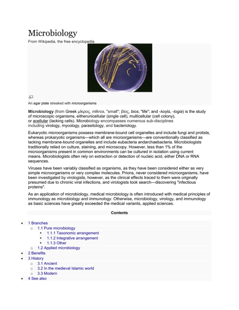 Microbiology: Definition, Branches, and History